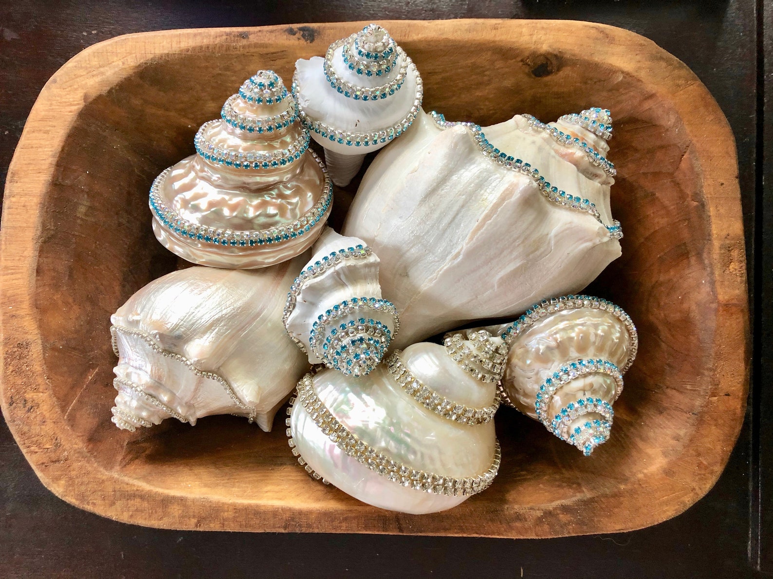Large Rhinestone Embellished Shell Beautiful Atlantic Whelk - Etsy