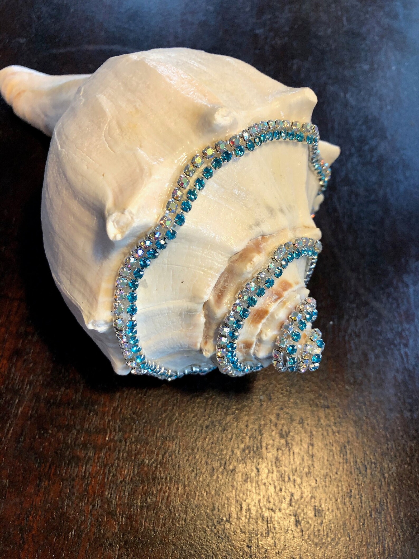 Large Rhinestone Embellished Shell Beautiful Atlantic Whelk - Etsy