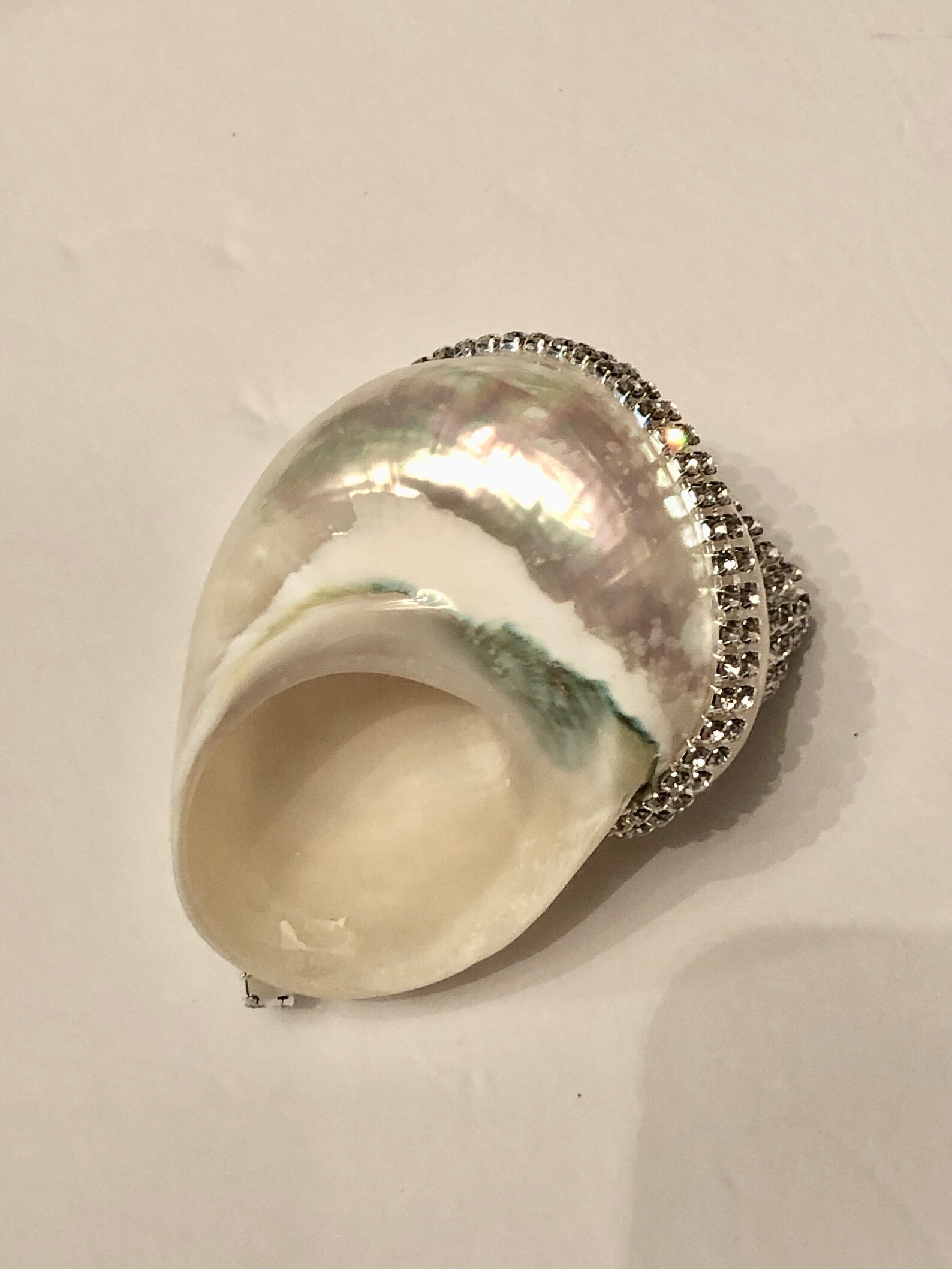 Polished Turbo Shell Pearl Color Embellished With Rhinestone | Etsy