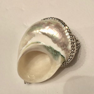 Polished Turbo Shell, Pearl Color Embellished With Rhinestone Crystals ...