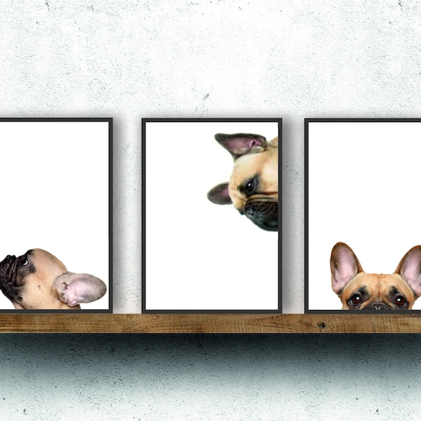 French Bulldog Decor - Etsy