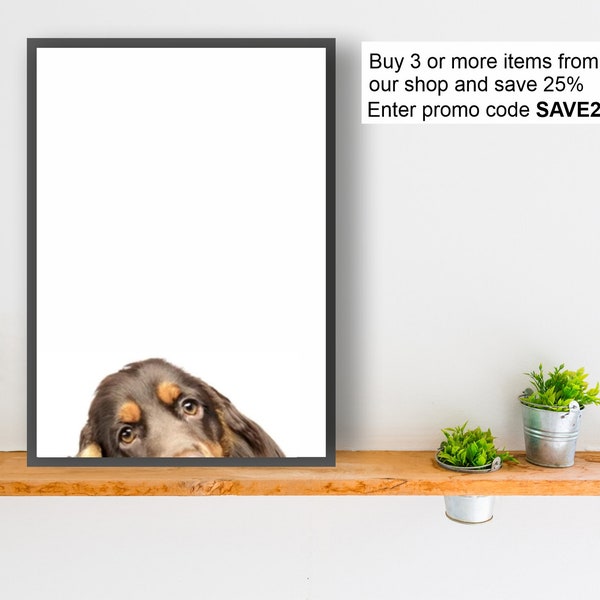 Cocker Spaniel Art - Etsy UK