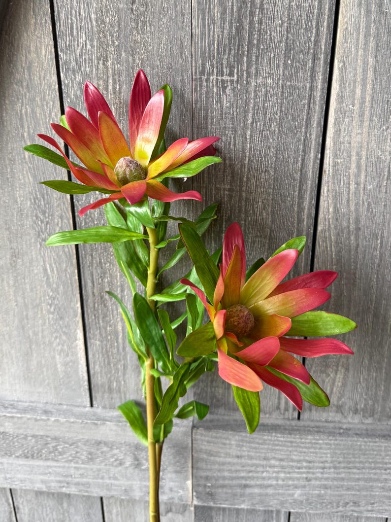 Faux Protea Stem - Deep Red & Green, Set of 2, Tropical Wedding Flower ...