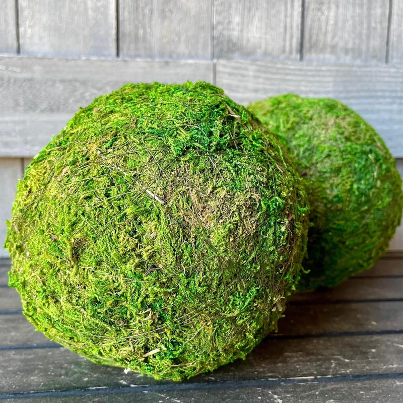 Moss Balls - Etsy