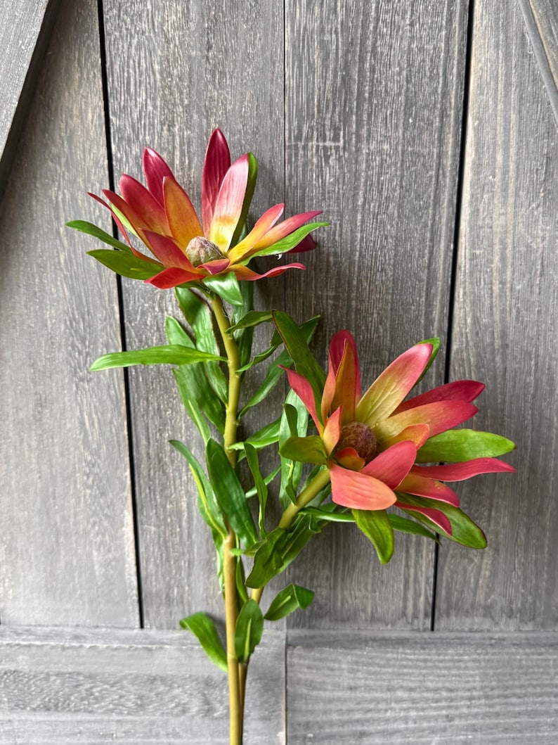Faux Protea Stem - Deep Red & Green, Set of 2, Tropical Wedding Flower ...