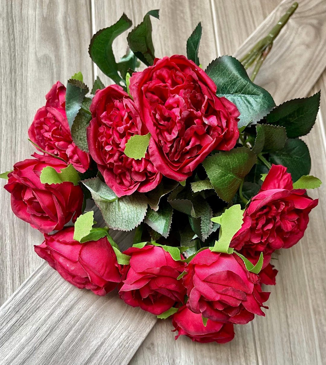 16 Rose Bush, Red Roses Bush, Red Cabbage Roses, Cabbage Roses Bush ...