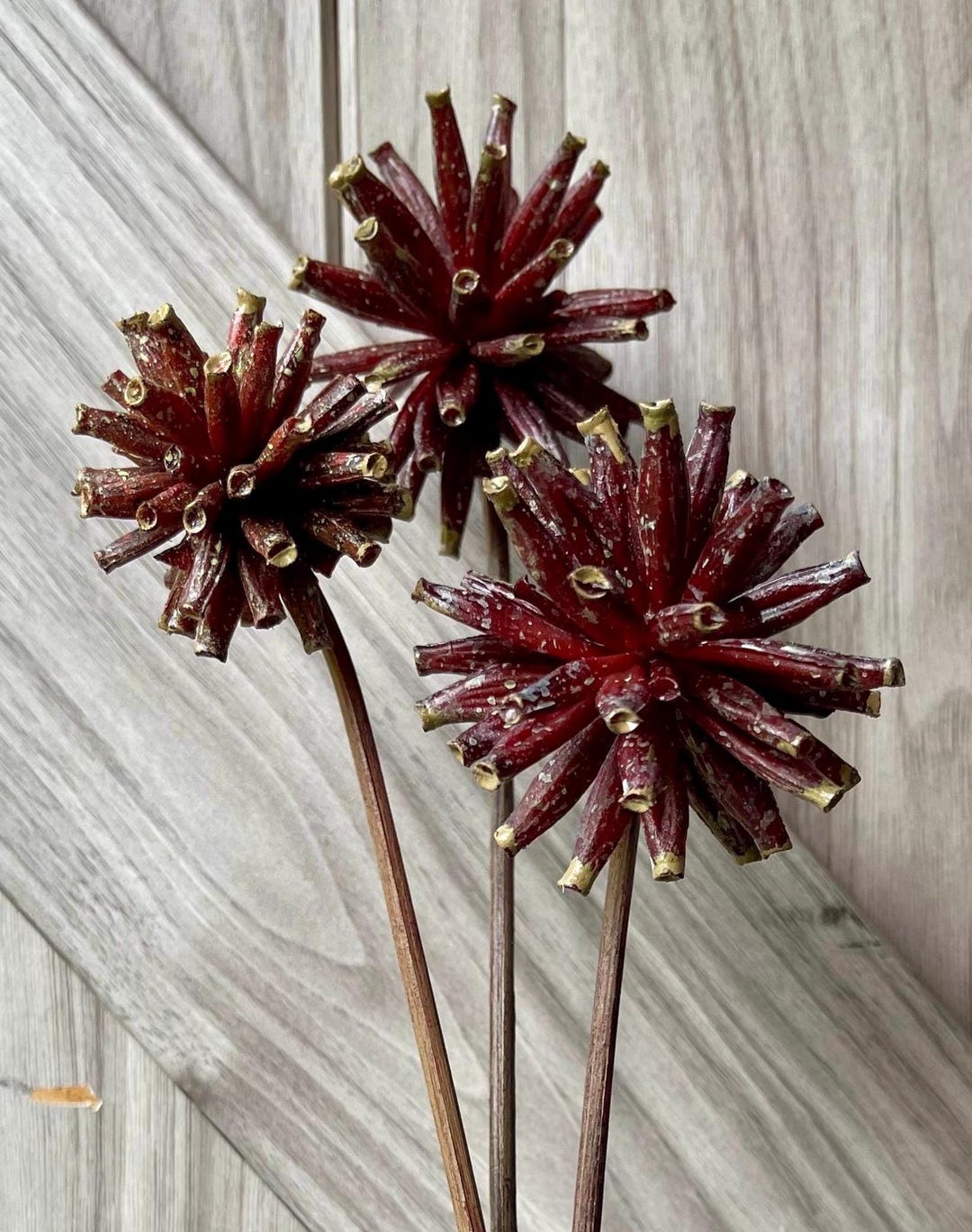 SET of 2, 10" Tree Pod, Tree Pod Bundle, Tree Pod Spray, Faux Tree Pod ...