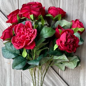 16 Rose Bush, Red Roses Bush, Red Cabbage Roses, Cabbage Roses Bush ...