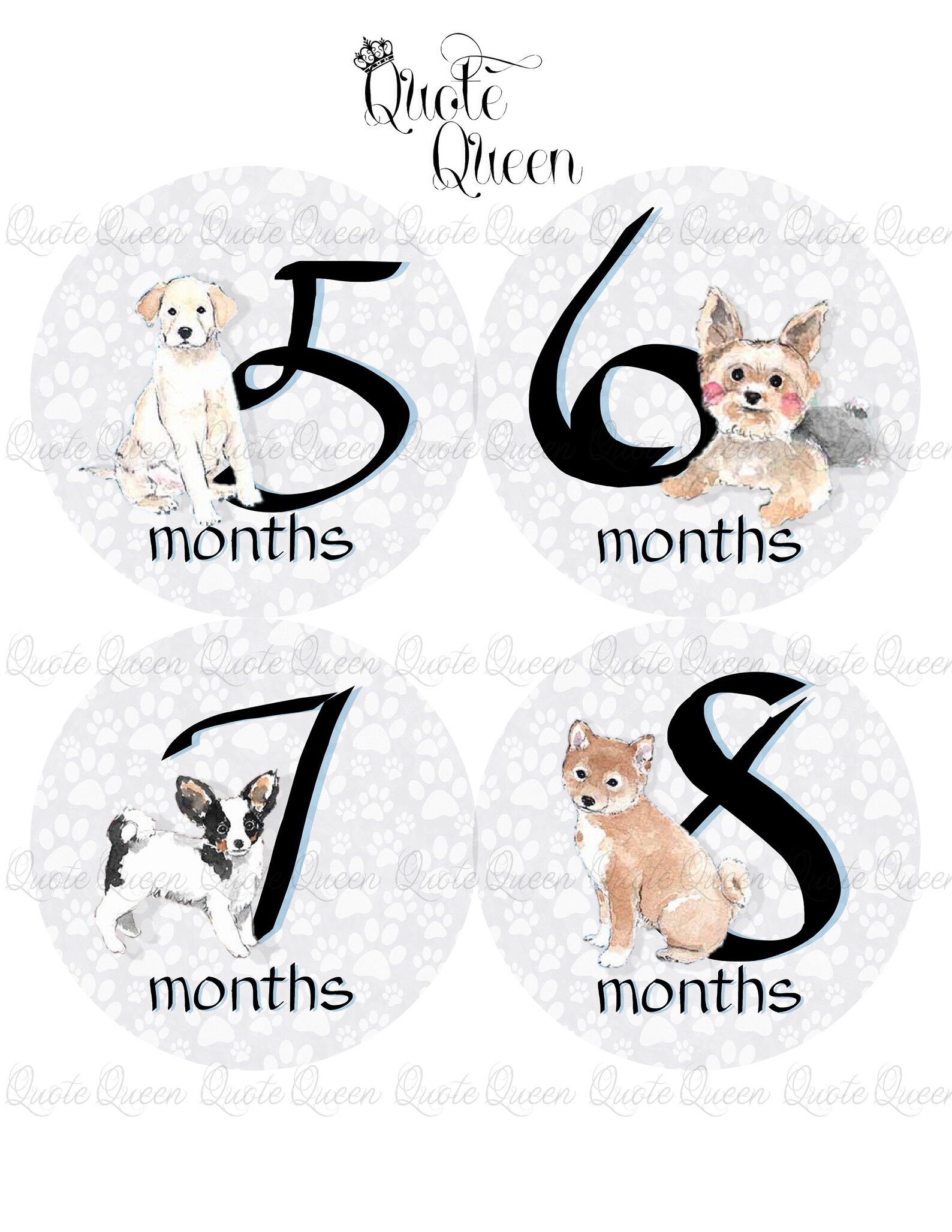 FREE GIFT, Puppy Monthly Stickers, Dog Monthly Stickers, Monthly ...