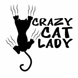 Crazy Cat Lady - Vinyl Die Cut Decal Sticker - Etsy