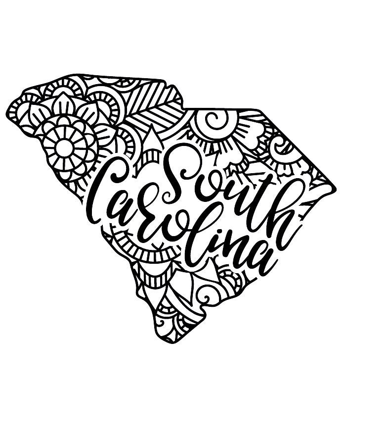 South Carolina Vinyl Die Cut Decal Sticker | Etsy