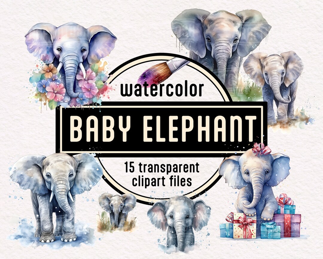 Watercolor Baby Elephant Clipart Transparent Cute Elephant PNG Floral ...