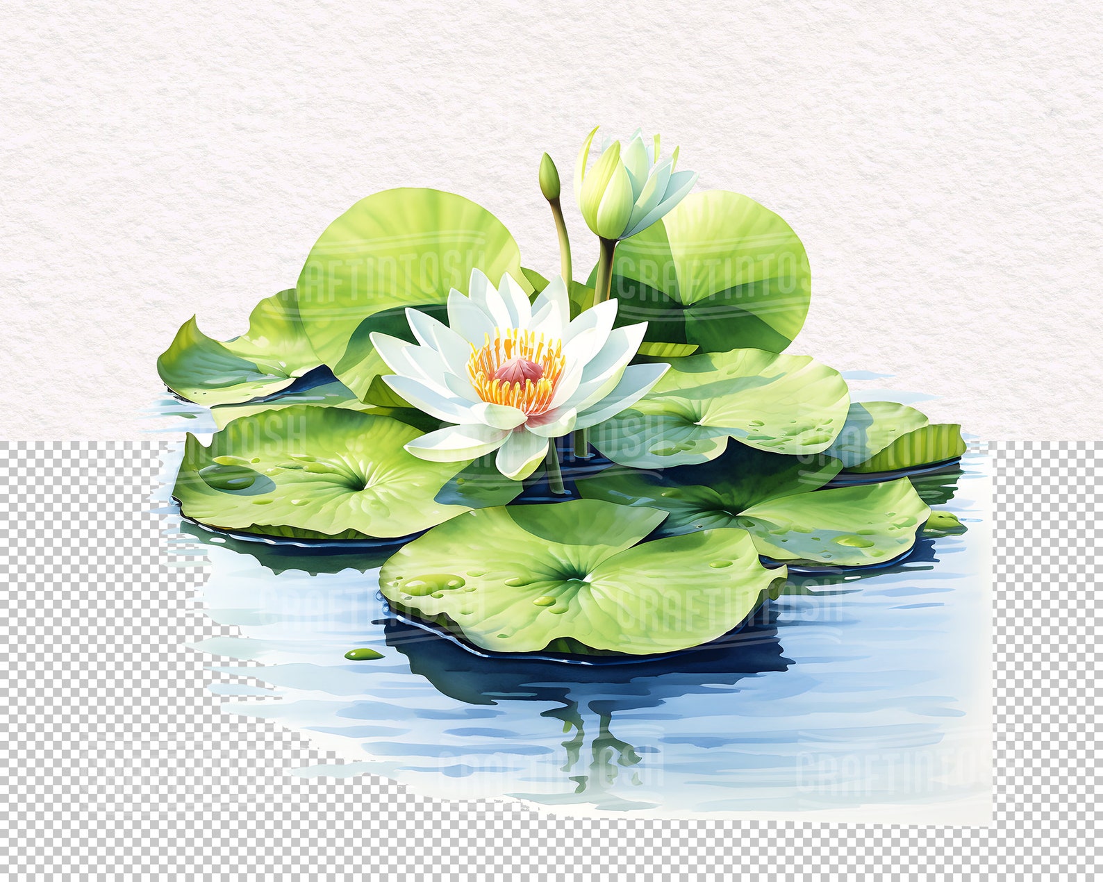 Watercolor Floating Lily Pad Clipart - Transparent Water Lily PNG Lily ...