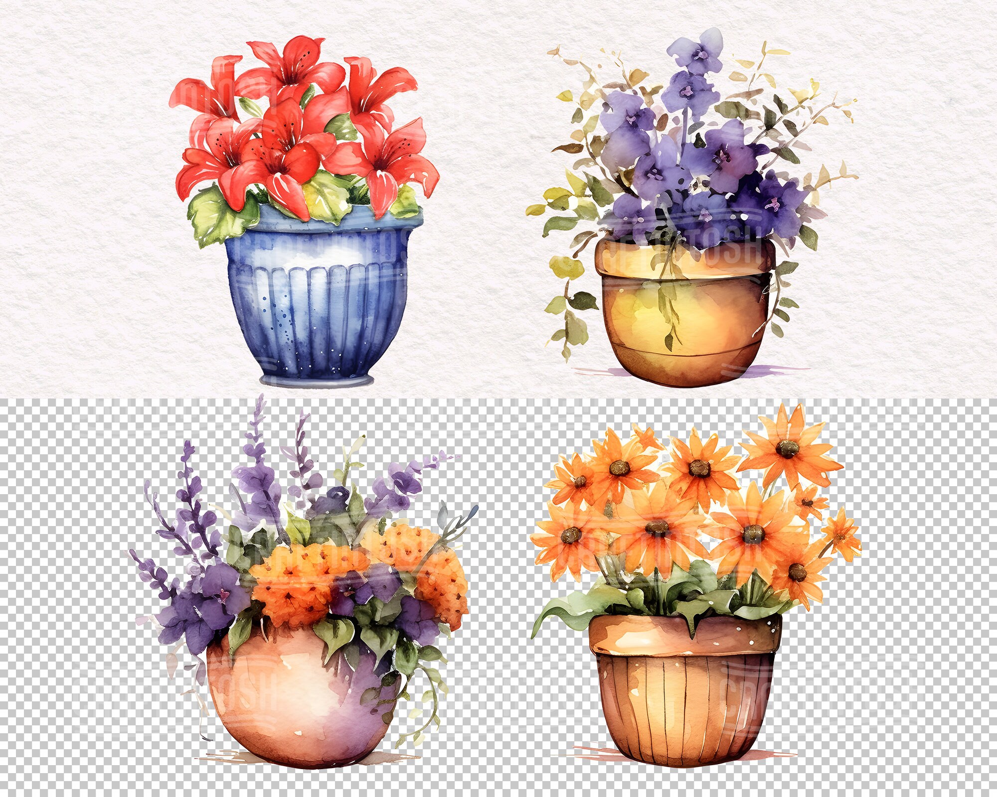 Watercolor Spring Flower Pots Clipart: Cottagecore Potted Plant PNG ...