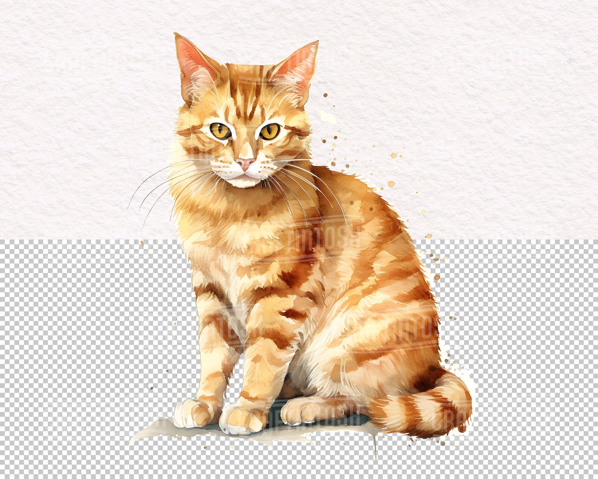 Watercolor Ginger Tabby Cat PNG Transparent Clipart, Orange Tabby With ...