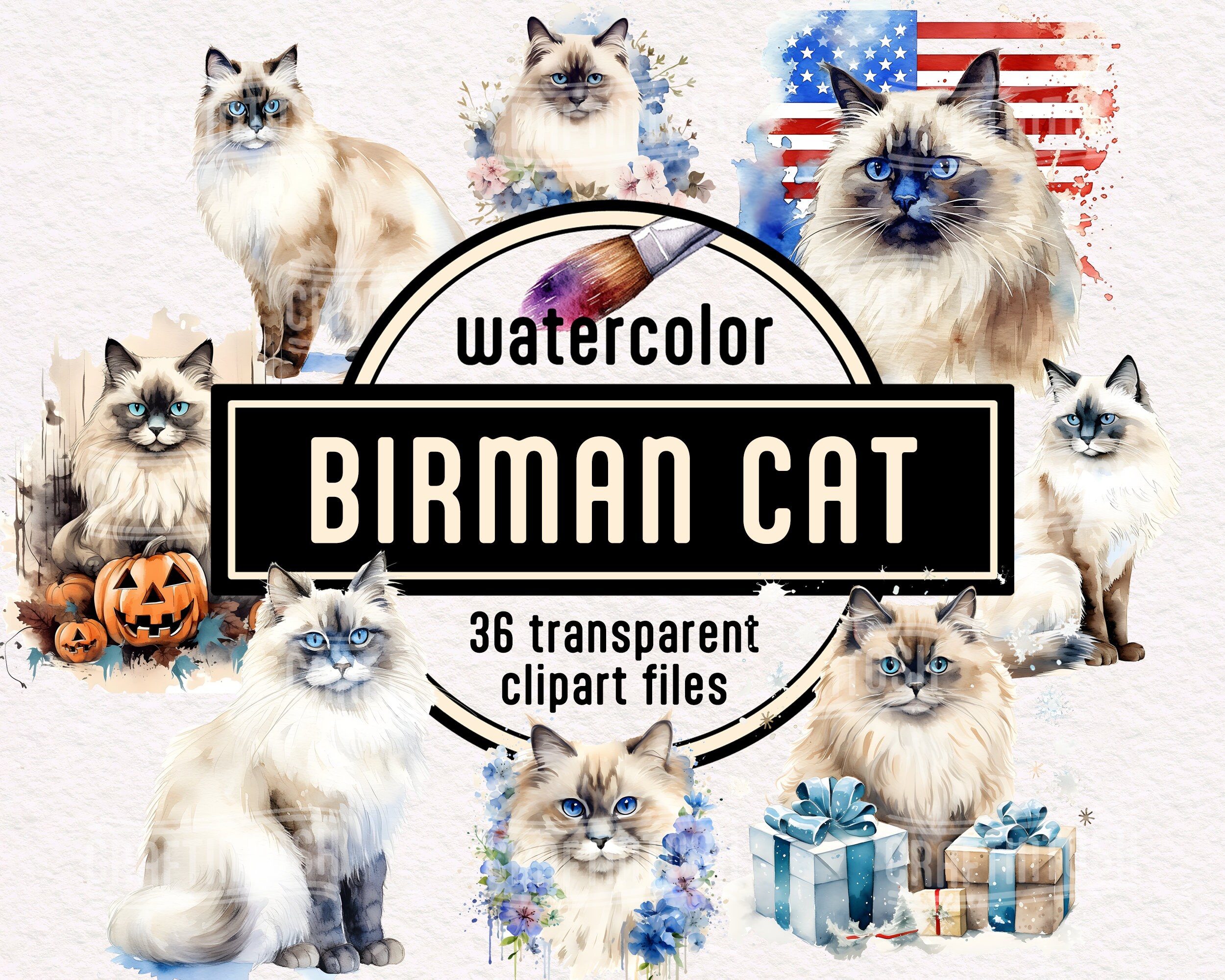 Watercolor Birman Cat Clipart Transparent PNG for Birman Cat Wall Art ...