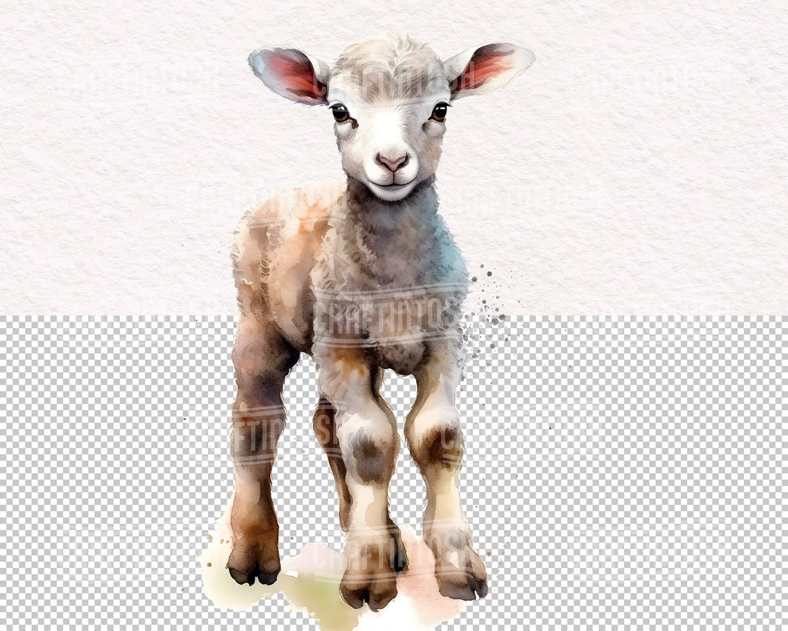 Baby Lamb Clipart, Lamb PNG, Baby Animals, Farm Animals PNG, Baby Sheep ...