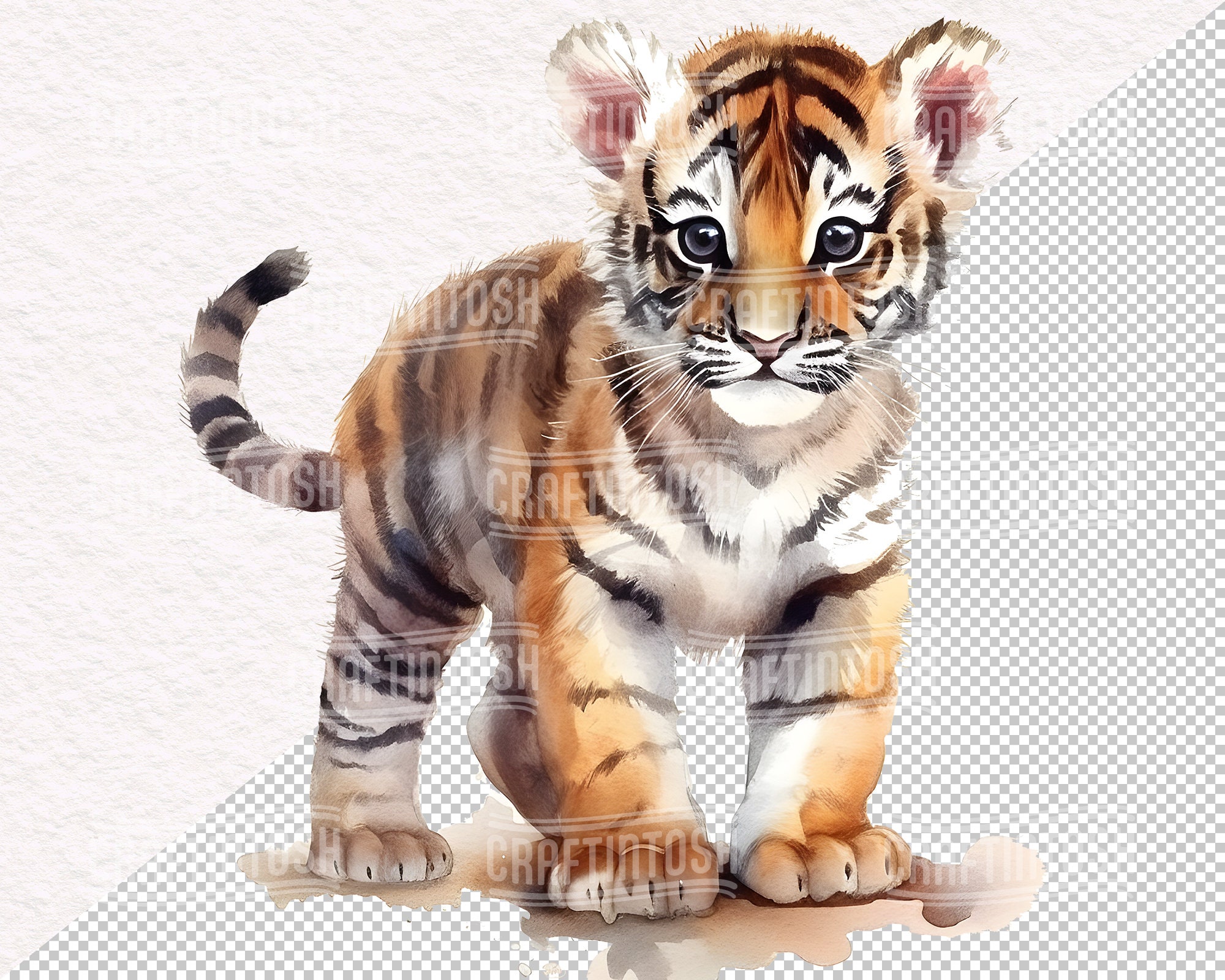 Watercolor Baby Safari Animals PNG Clipart Set Digital - Etsy