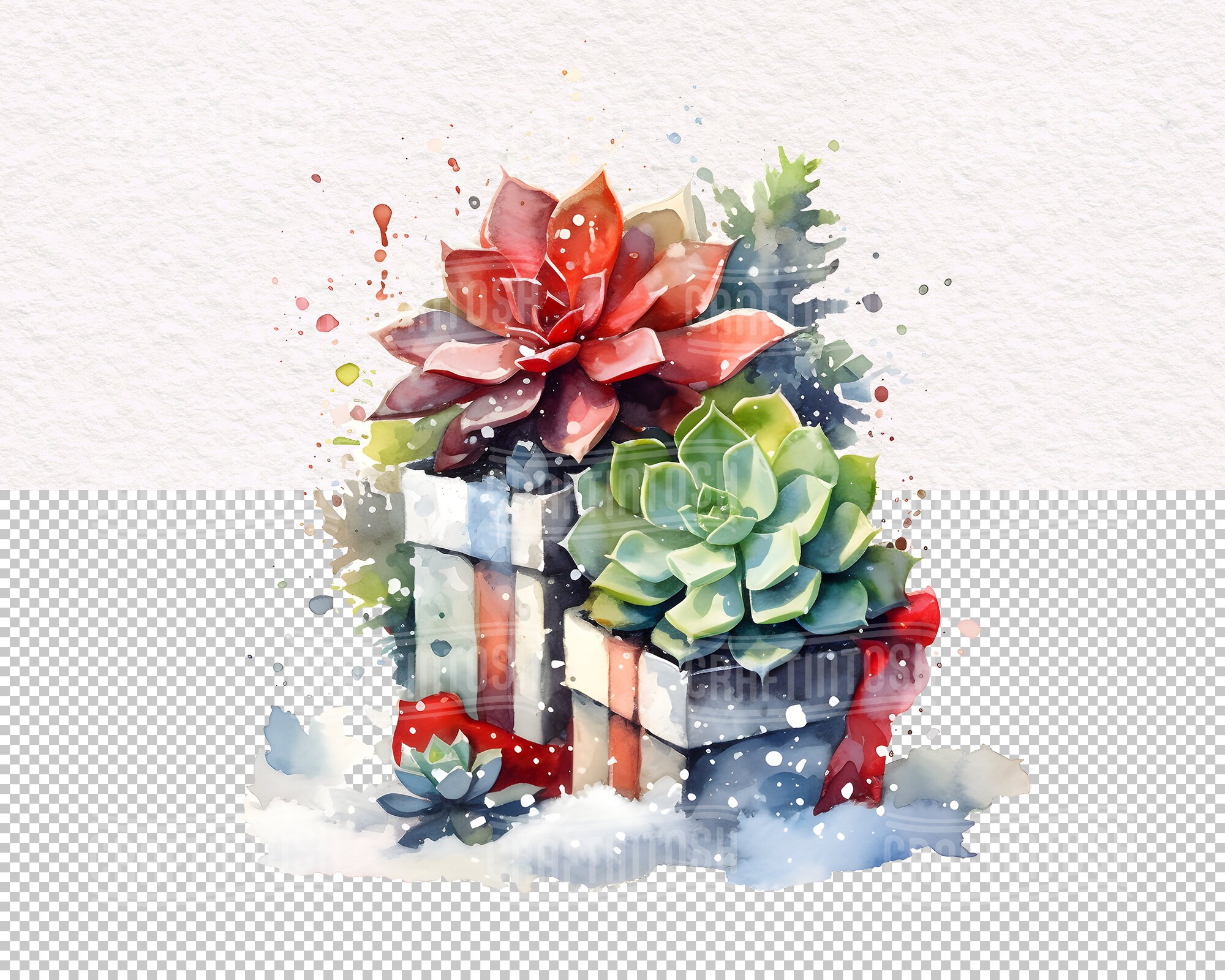 Watercolor Succulent Clipart Transparent Floral PNG Green Blue Purple ...