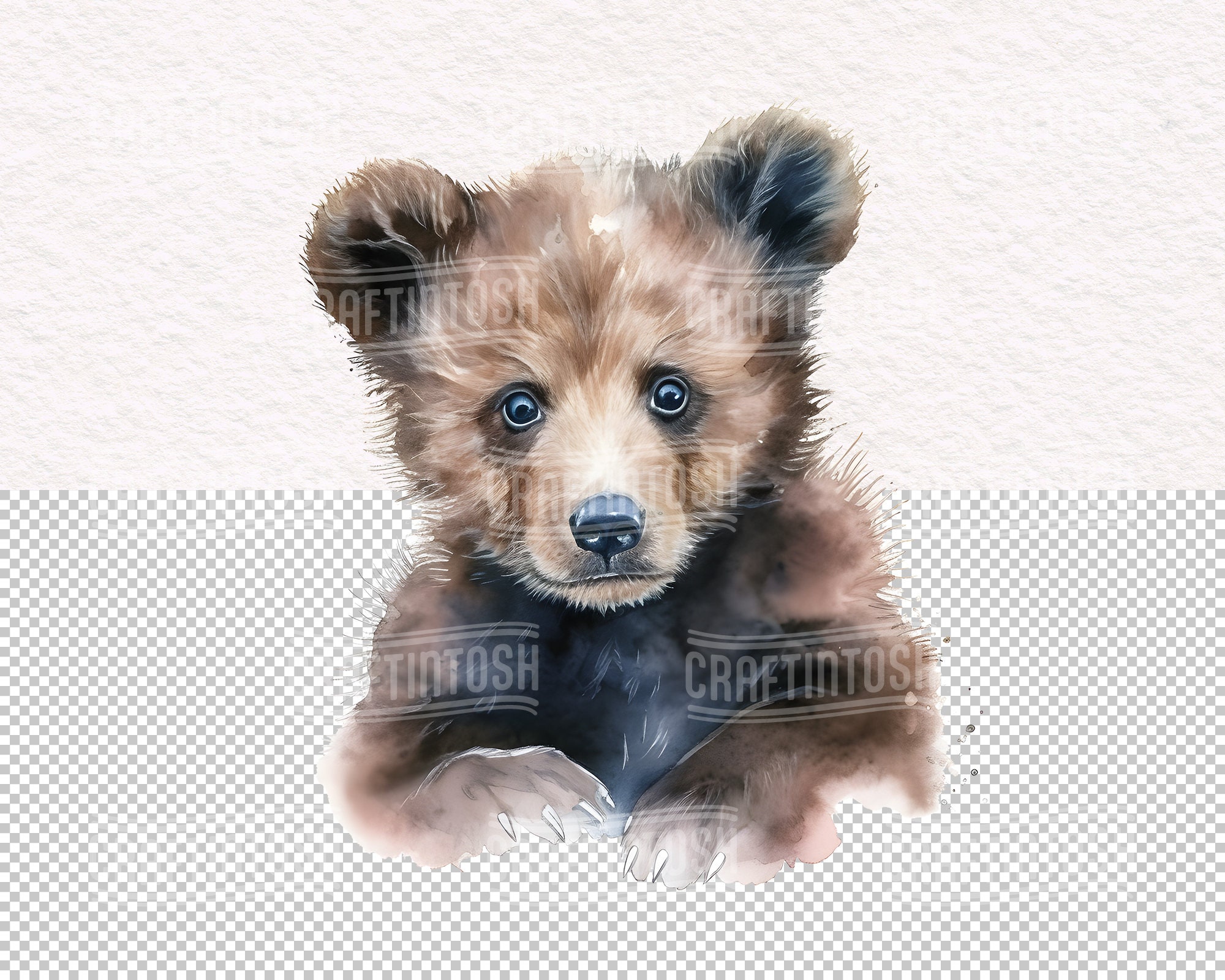 Watercolor Baby Bear Clipart Cute Forest Animals, Teddy Bear Image PNG ...