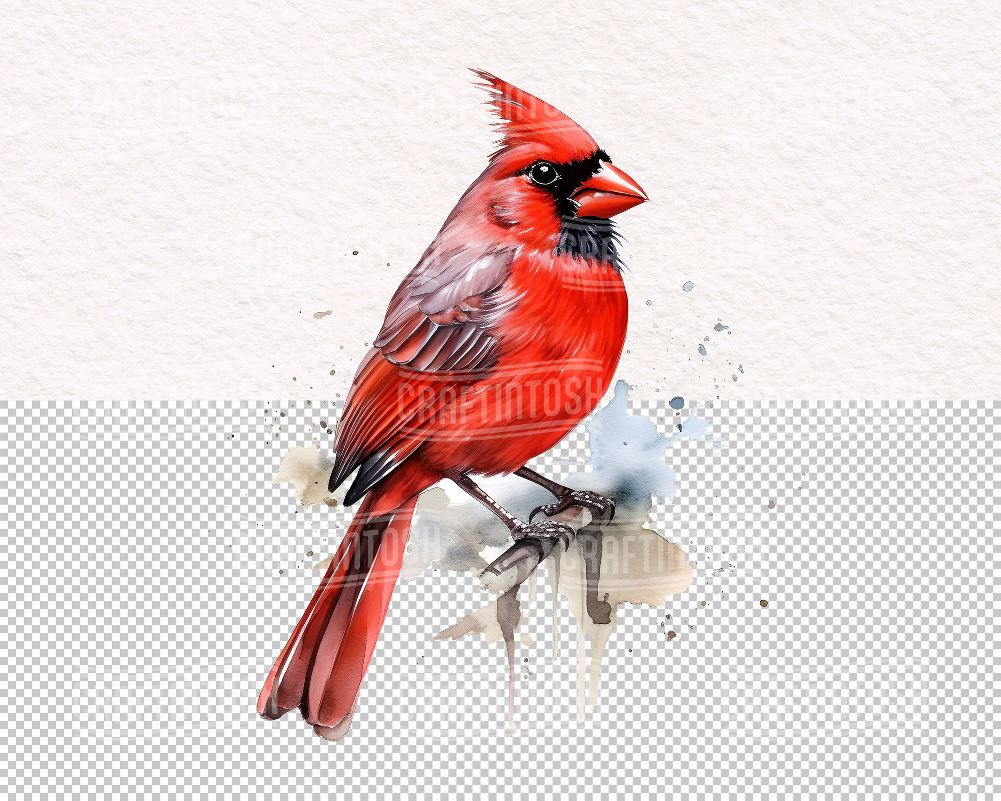 Red Cardinal PNG, Red Cardinal Bird, Cardinal Clipart, Watercolor Bird ...