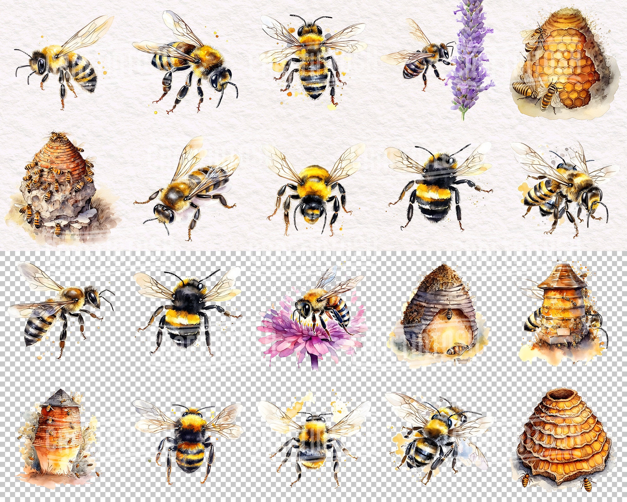 Watercolor Bees and Bumblebees Clipart PNG Set - Digital Graphics ...