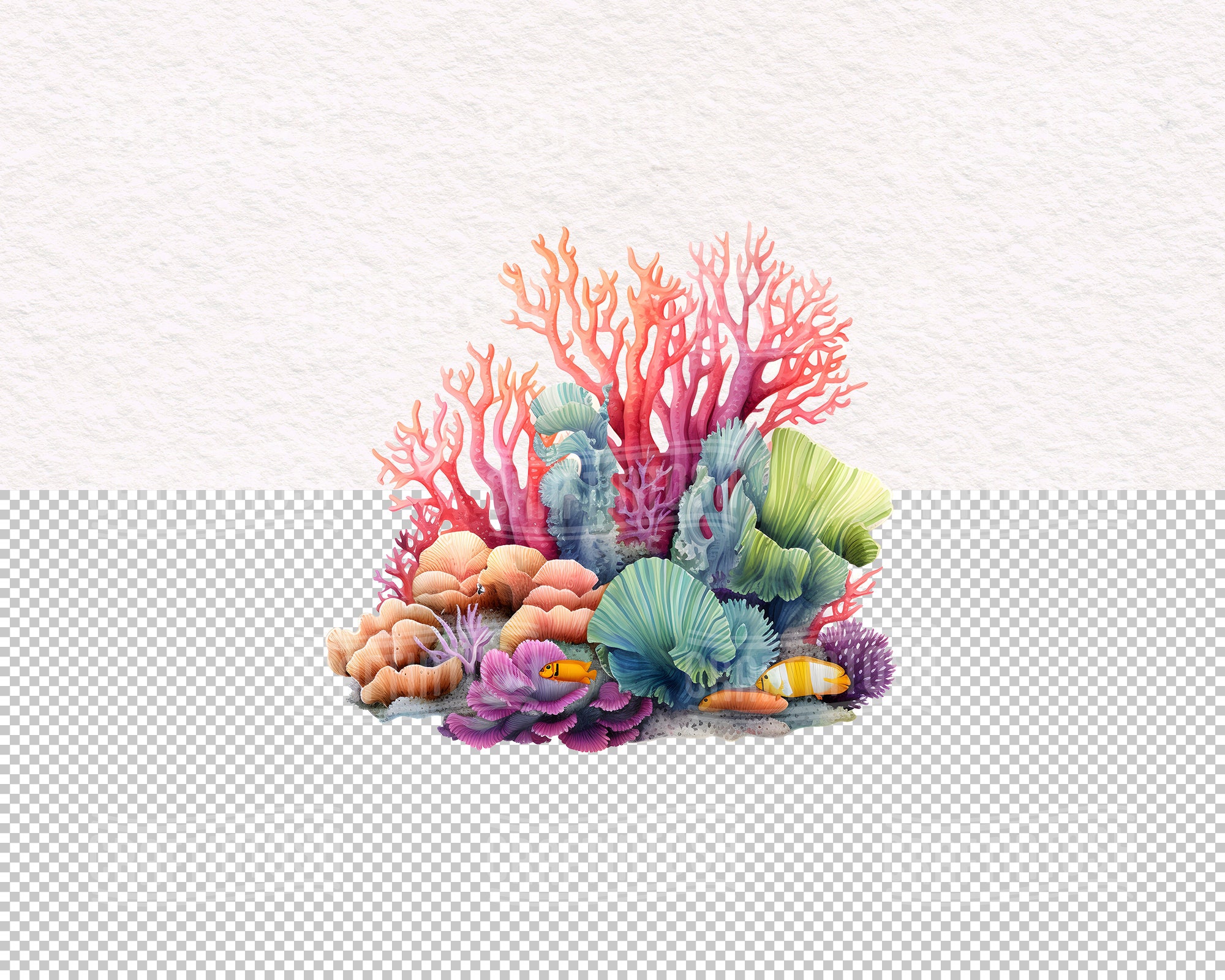 Watercolor Corals Clipart Transparent Summer Clipart Underwater PNG ...
