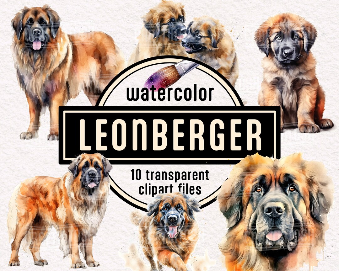 Watercolor Leonberger Puppies Clipart - Cute Animal Illustration Pet ...