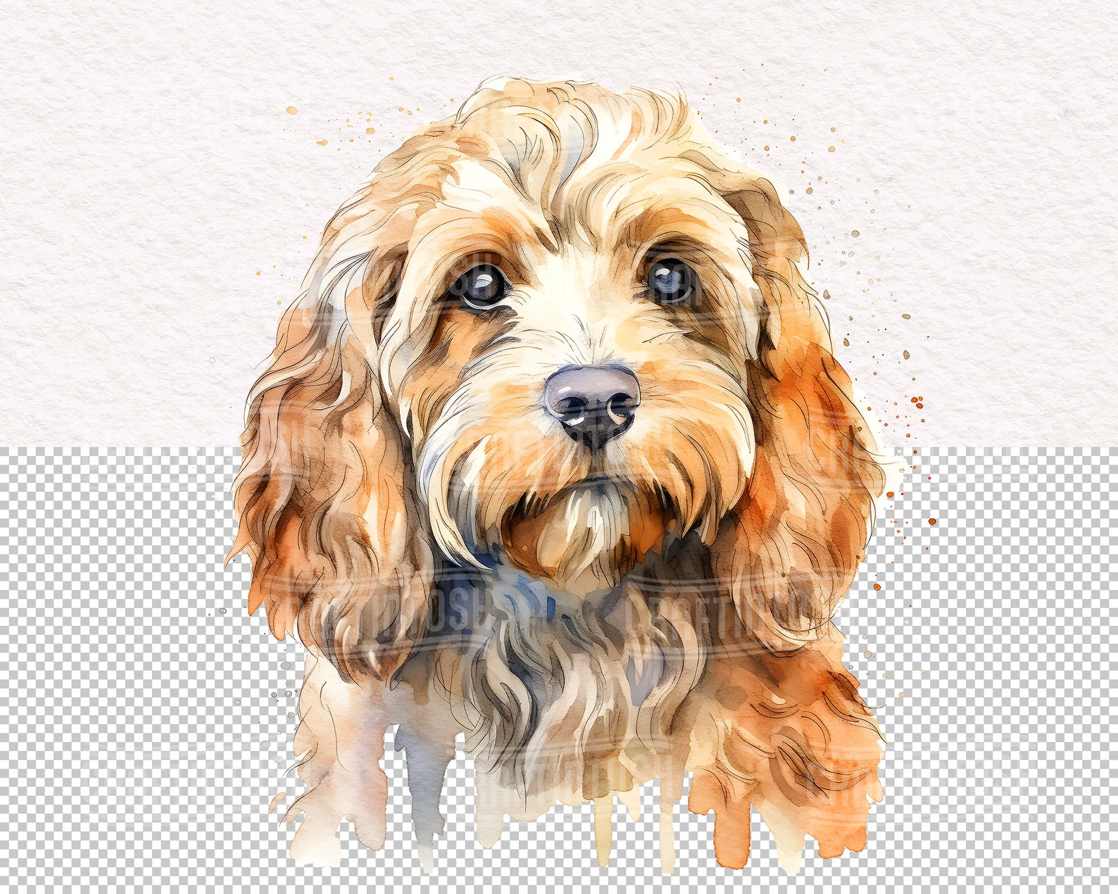 Watercolor Cockapoo Dog PNG Clipart Cute Puppies Pet Portrait Animal ...