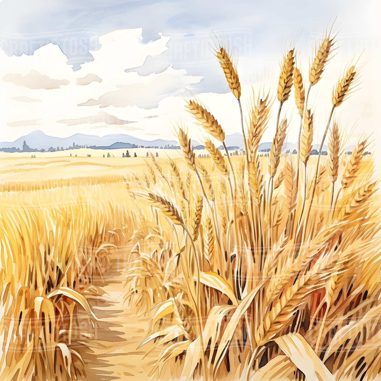 Watercolor Ripening Wheat Field Papers - 15 PNG Digital Graphics ...