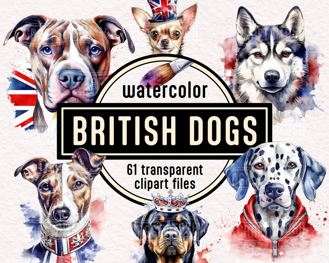 Watercolor British Dogs Clipart PNG Bundle - Union Jack Dog Pet ...