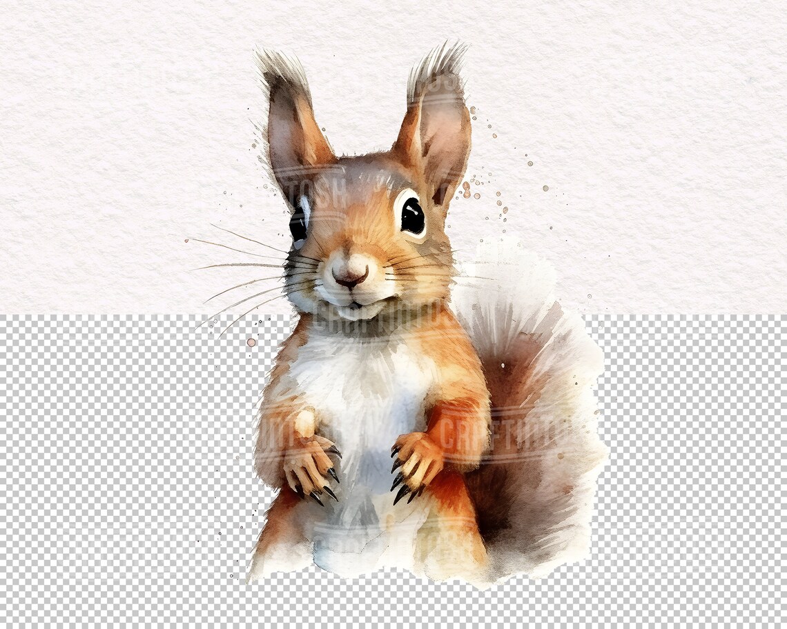 Watercolor Squirrel Clipart Bundle: PNG Cute Woodland Animals Nursery ...