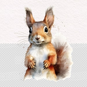 Watercolor Squirrel Clipart Bundle: PNG Cute Woodland Animals Nursery ...