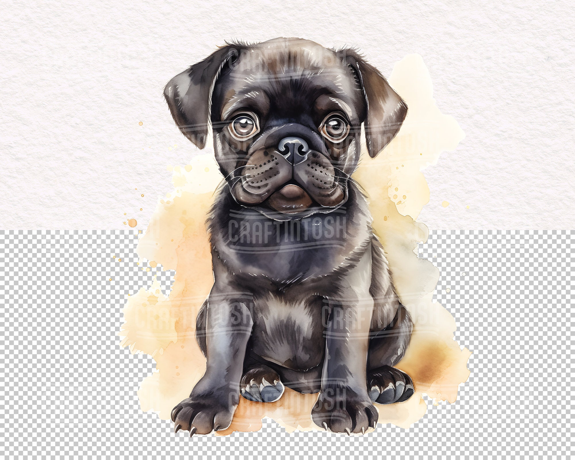Watercolor Pug Dog and Puppies Clipart Cute Pet Portrait - Etsy