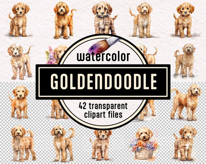 Goldendoodle PNG Dog Watercolor Clip Art Set - Digital Graphics Instant ...