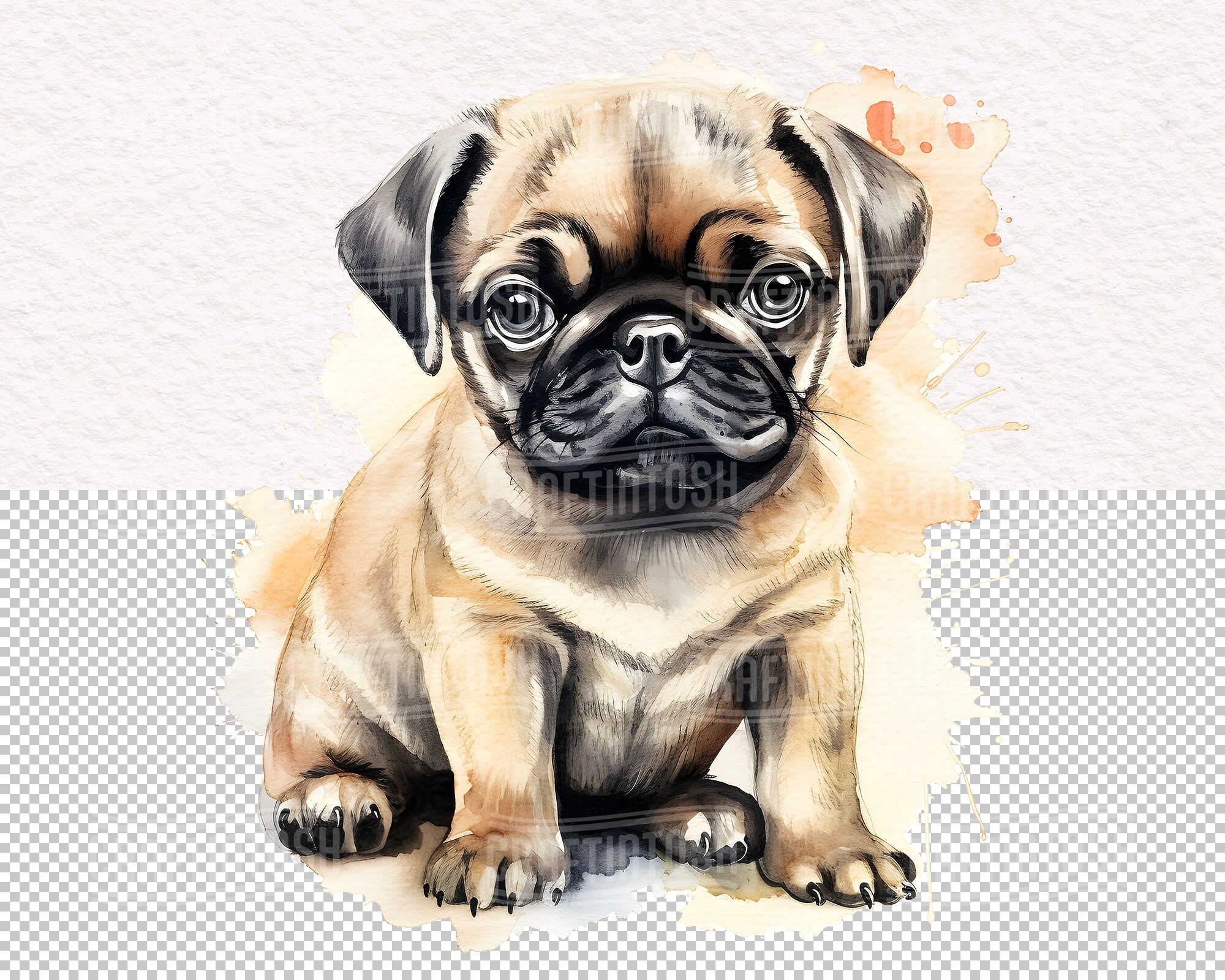 Watercolor Pug Dog and Puppies Clipart - Cute Pet Portrait Animal PNG ...