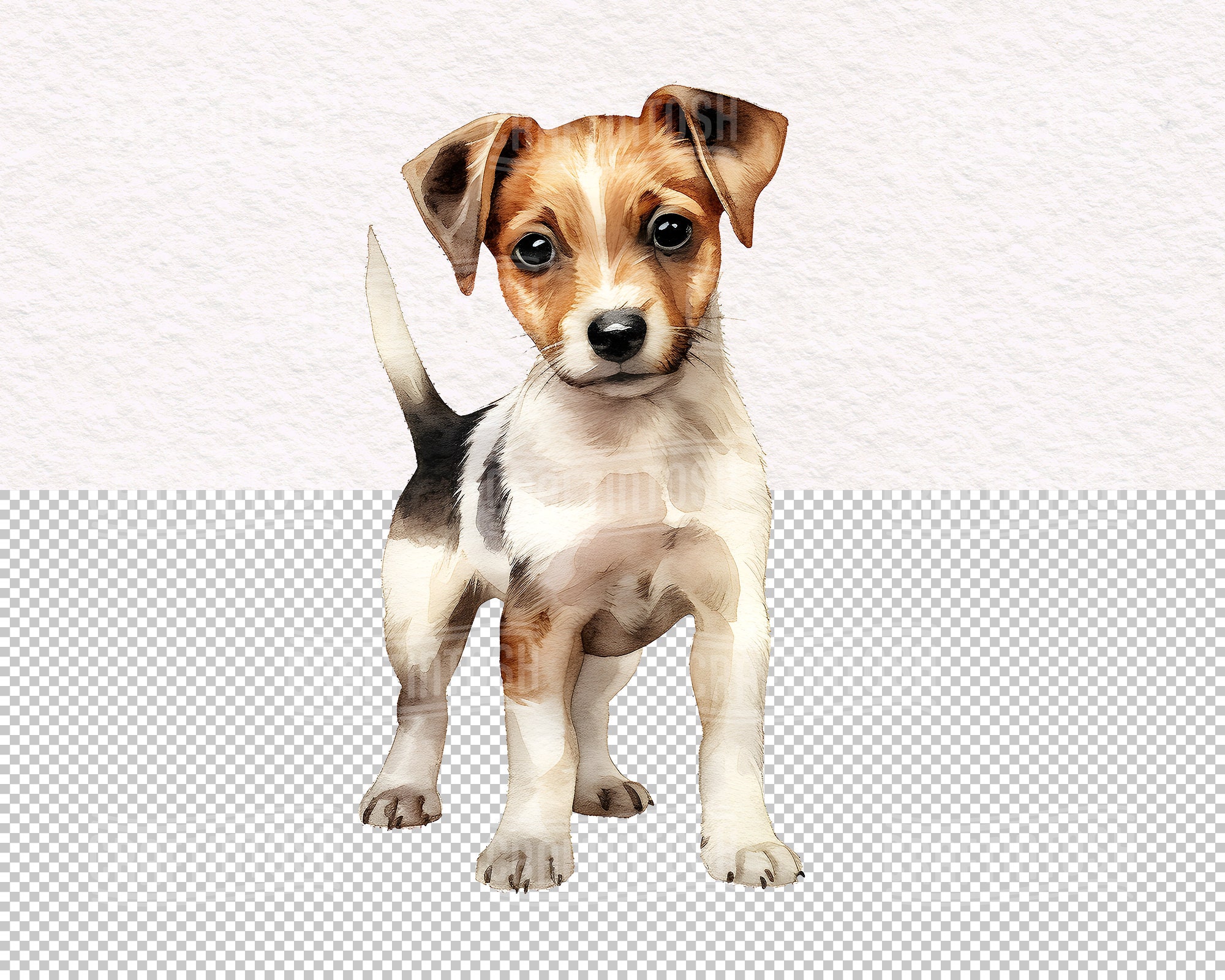 Watercolor Jack Russell Dog PNG Clipart Cute Puppies Pet - Etsy