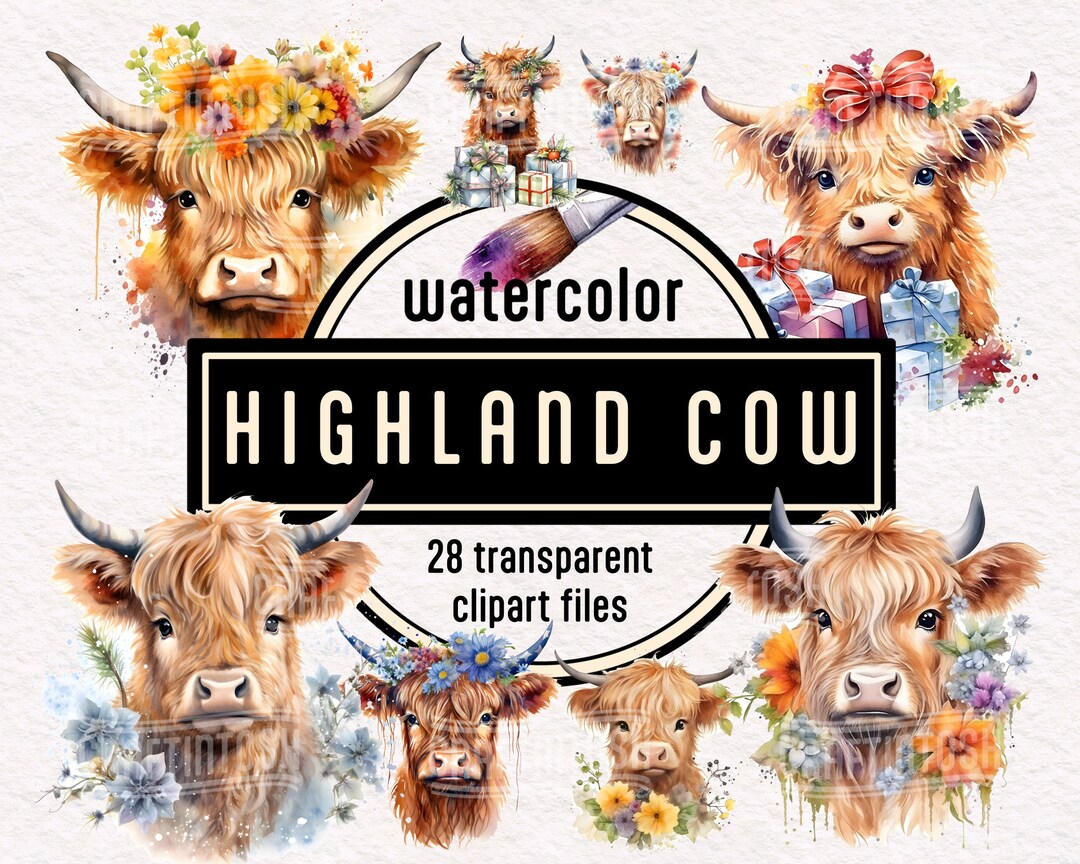 Baby Highland Cow Watercolor Clipart Set - 28 Transparent PNG Boho Baby ...