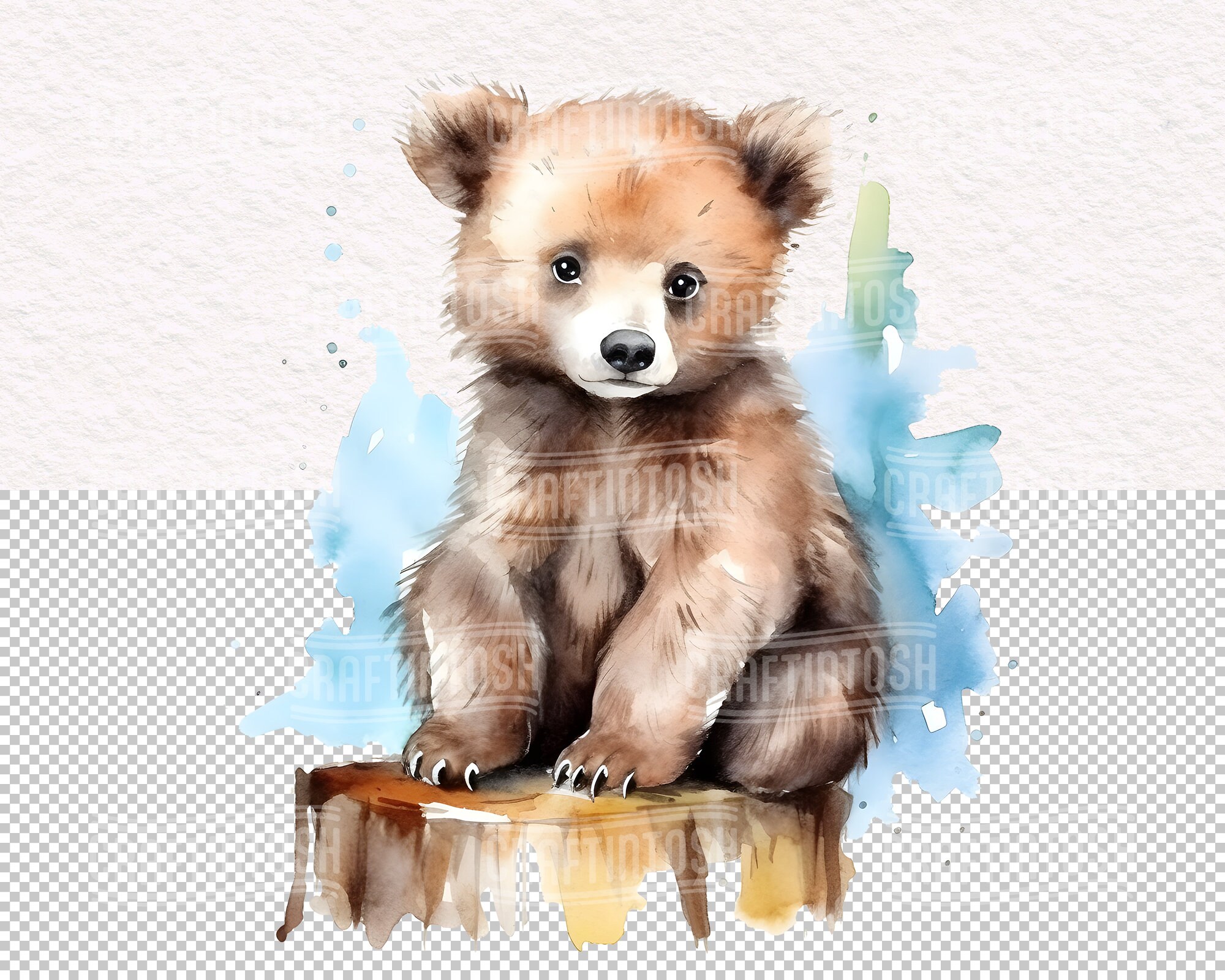 Watercolor Baby Bear Clipart Cute Forest Animals, Teddy Bear Image PNG ...