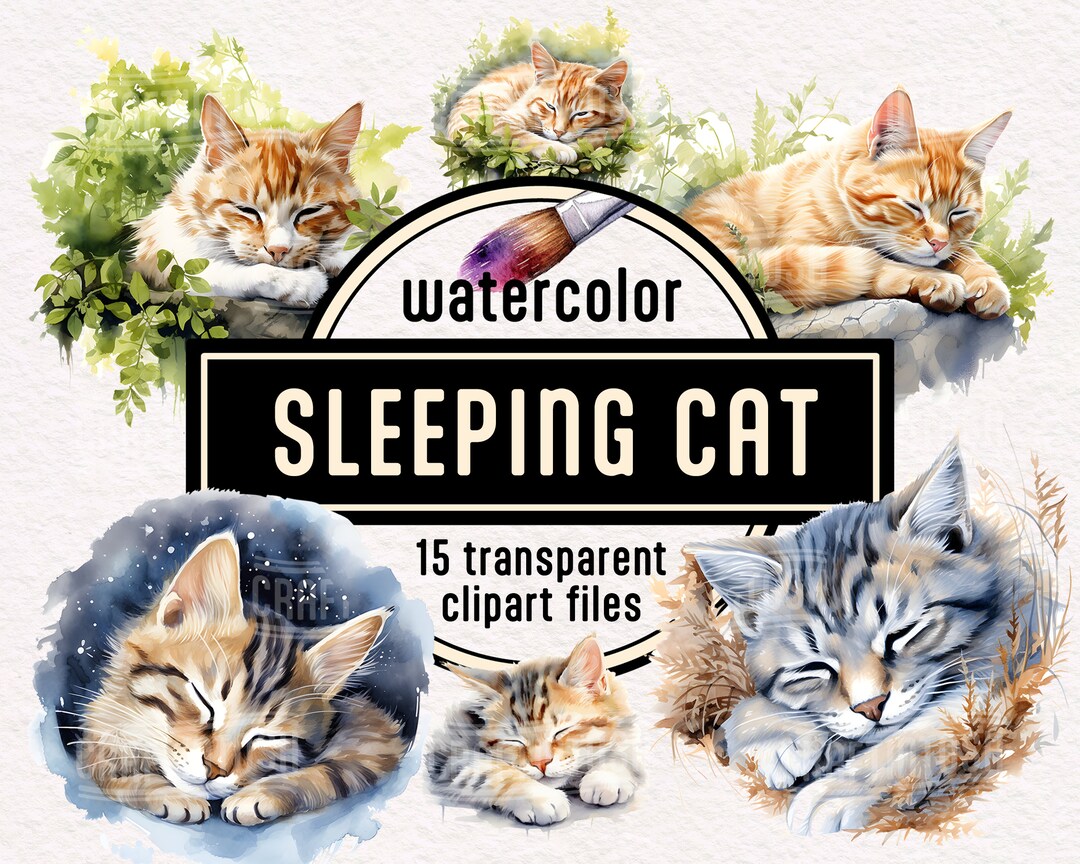 Watercolor Sleeping Cat Clipart Transparent Cute Baby Kitten Sweet ...