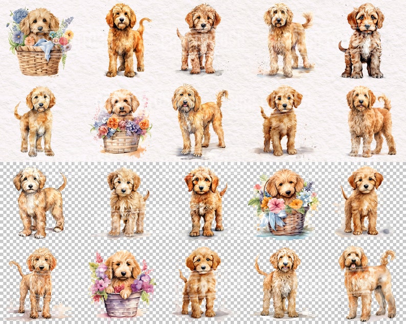 Goldendoodle PNG Dog Watercolor Clip Art Set - Digital Graphics Instant ...