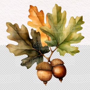 Watercolor Autumn Harvest Clipart - Fall Leaves PNG Mushrooms Cozy ...