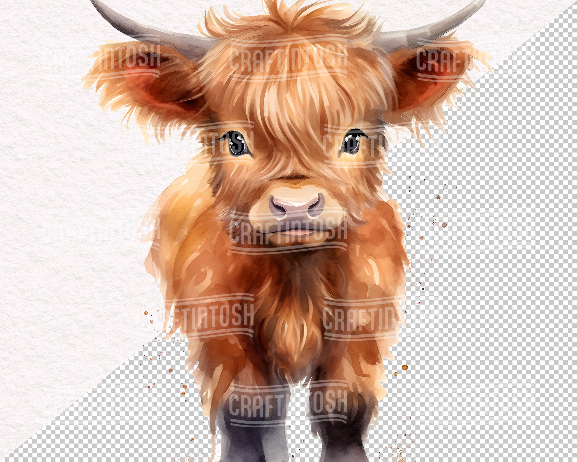 Watercolor Baby Highland Cow Clipart Set - Digital Graphics Instant ...