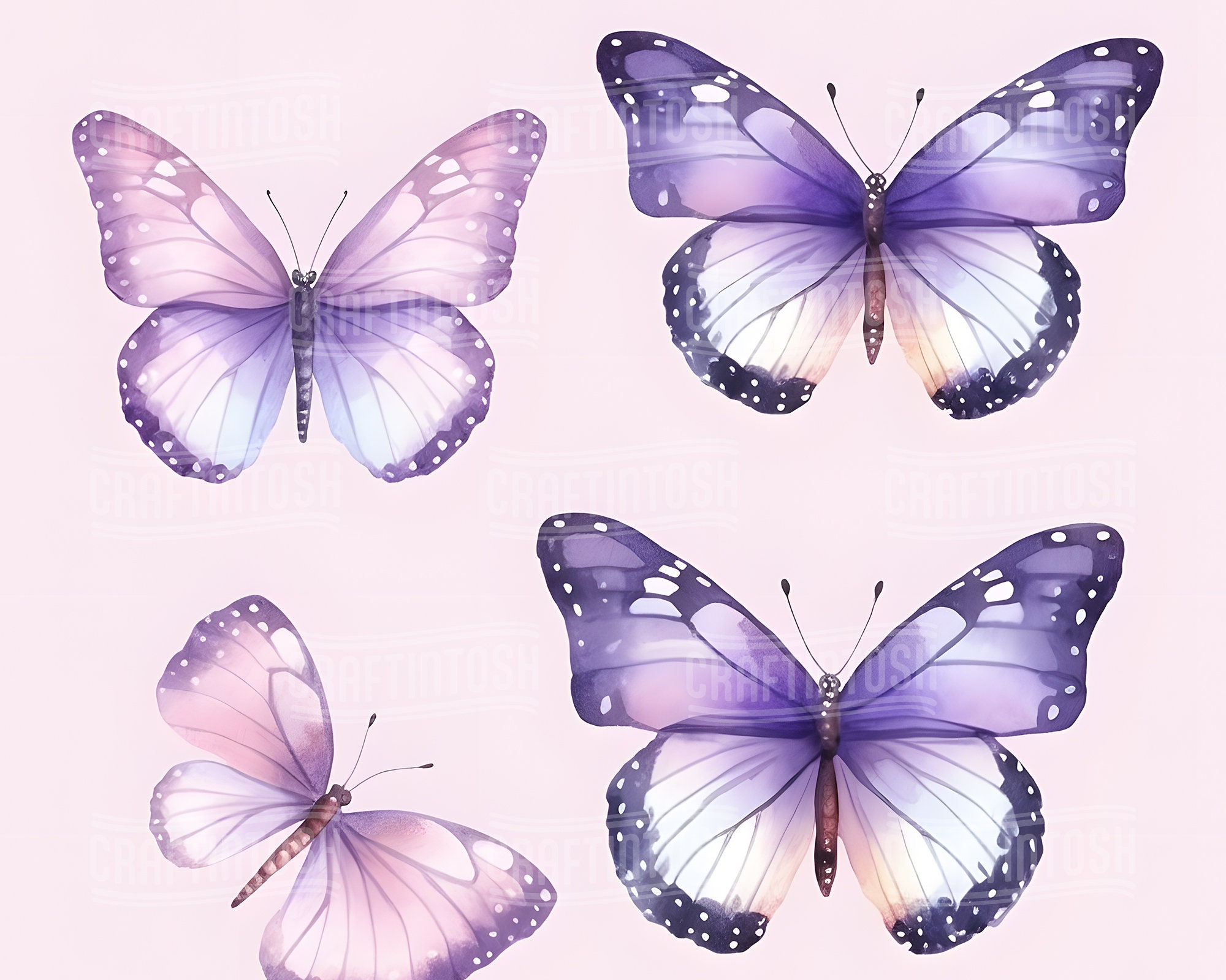 Watercolor Butterfly Digital Paper, Instant Download for Commercial Use ...