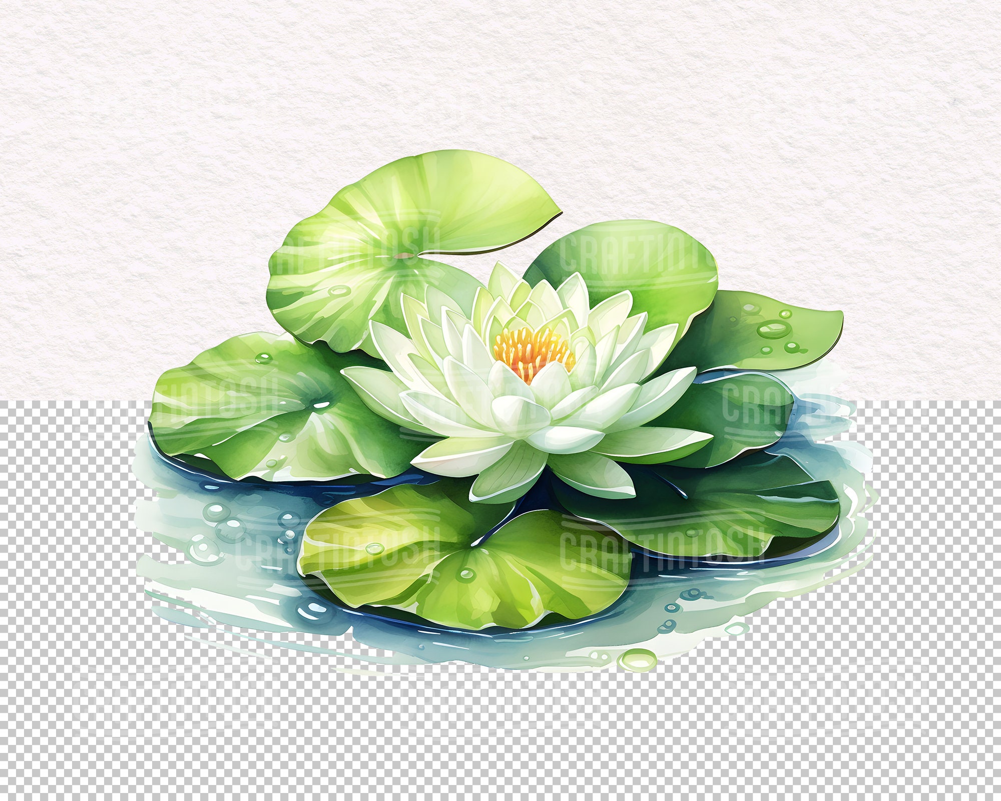 Watercolor Floating Lily Pad Clipart - Transparent Water Lily PNG Lily ...