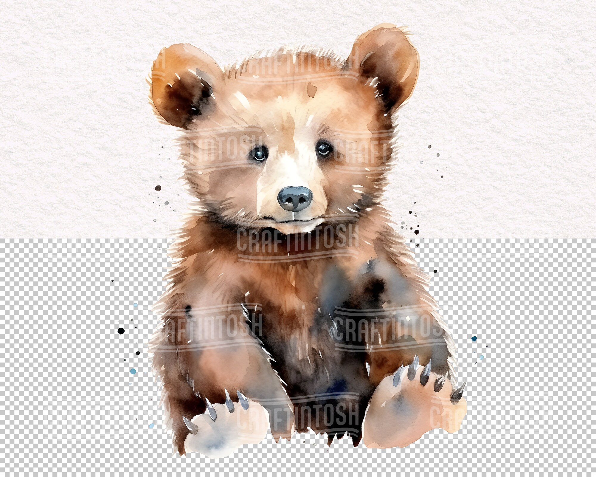 Watercolor Baby Bear Clipart Cute Forest Animals, Teddy Bear Image PNG ...