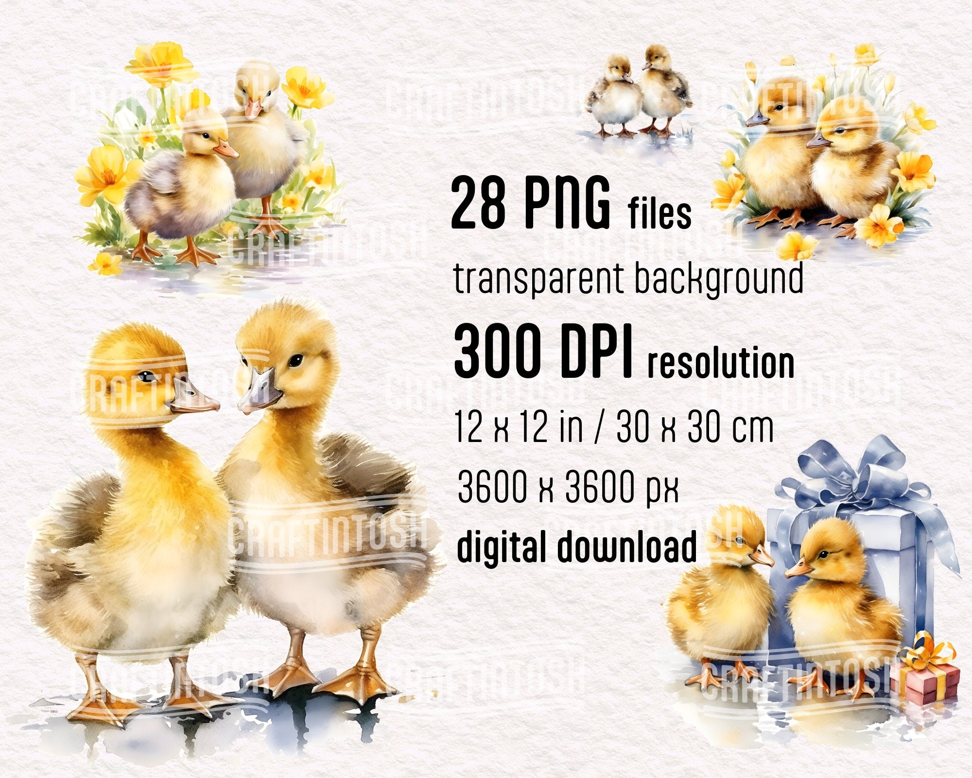 Watercolor Ducklings PNG Bundle - 28 Chicks Clipart, Easter, Baby Ducks ...