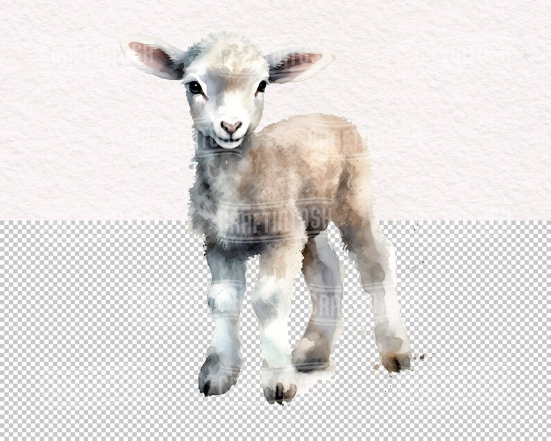 Baby Lamb Clipart, Lamb PNG, Baby Animals, Farm Animals PNG, Baby Sheep ...