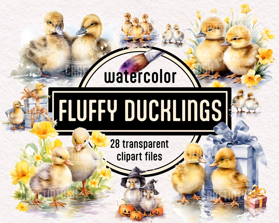 Watercolor Ducklings PNG Bundle - 28 Chicks Clipart, Easter, Baby Ducks ...