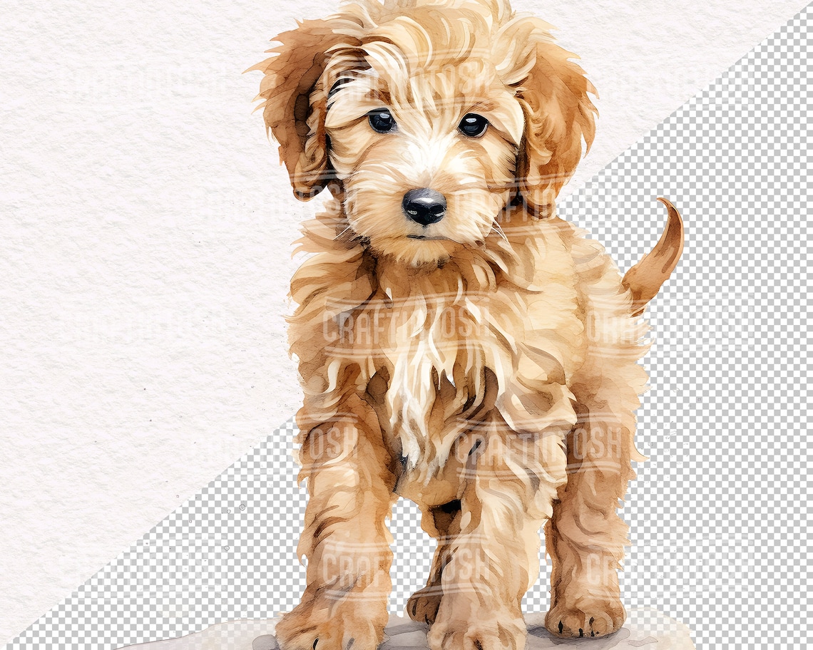 Goldendoodle PNG Dog Watercolor Clip Art Set Digital Graphics Instant ...